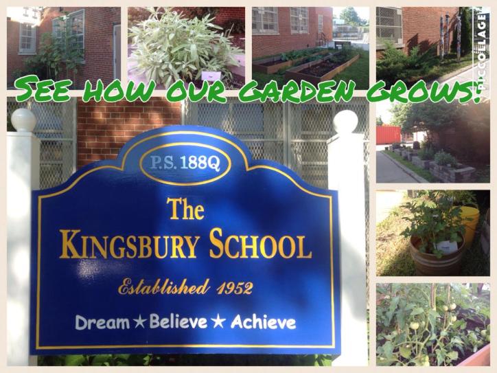 summer garden | P.S. 188Q Kingsbury School, Dream Believe Achieve